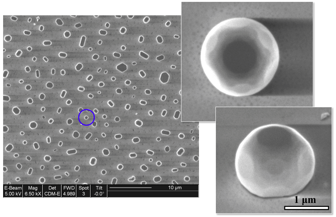 Metallic Micro-/Nano-Particles | Seok-Woo Lee's Research Laboratory